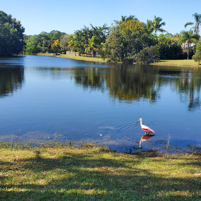 Martin Meadows | Home Owners Association – MMHOA